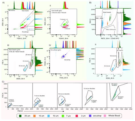 Gating Strategy For The Beads And Cell Samples Used To Validate The Download Scientific Diagram