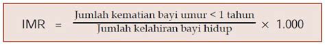 Menuliskan Rumus Tingkat Kematiaan Yang Kasar Dan Tingkat Kematian