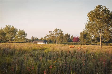 Had A Blast Doing Some Landscape Environment Images Recently Keep An Eye Out For More On This