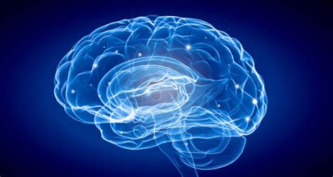 Lallarme Dei Neuroscienziati Alle Donne Attenzione A Questo Consiglio