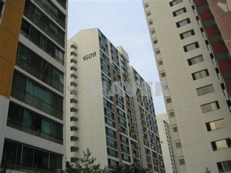 고양시 덕양구 화정동옥빛15단지주공 전세2억8000만원 내부올수리아주깨끗입주협의가능함 네이버 블로그