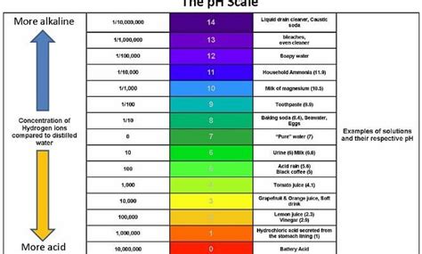 Ph Calculator From H The Education Training