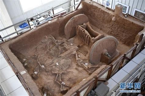陕西保护复原2800年前西周青铜轮牙马车 四川在线