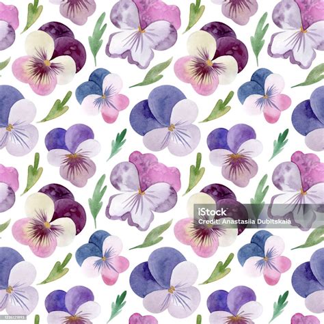 白い背景に紫色の水彩画パンジーの花と緑の葉のシームレスなパターン イラストレーションのベクターアート素材や画像を多数ご用意
