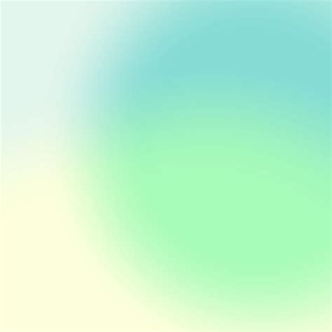 Nimt Offers Seeveral Courses That Candidates Can Pursue After Completing Class 12 From Any