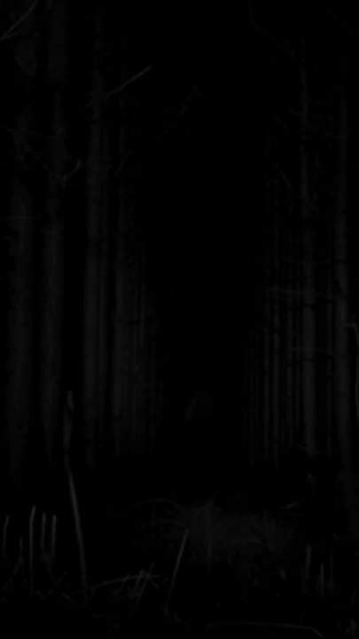СТРАШНЫЙ НОЧНОЙ ЛЕС 🫨😨😰 Night Youtube