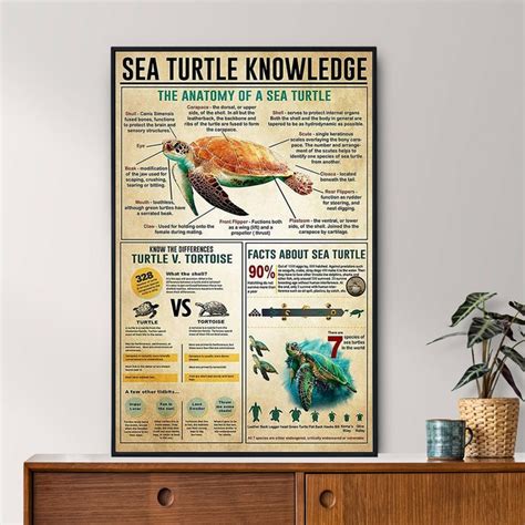 Sea Turtle Poster Etsy