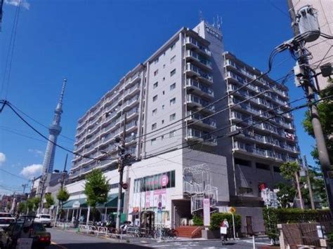 【仲介手数料無料】ライオンズマンション錦糸町第2 10階 3ldk 5842㎡ 墨田区太平1 Tokyo×renovation×cocoon