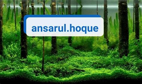 Ansarul Hoque Posted On Linkedin