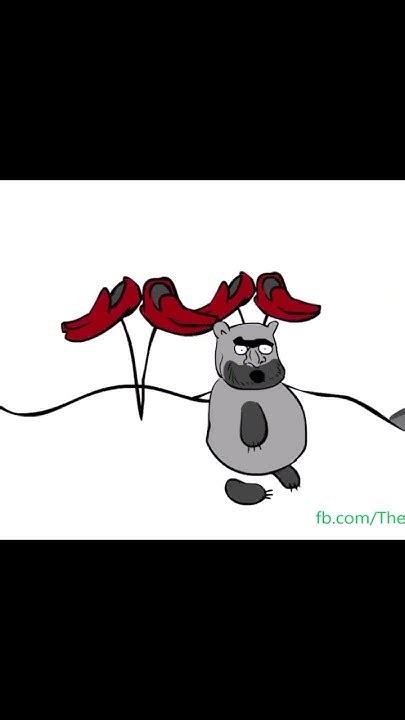 ლამბერი ვარ ყველაზე მაგარი 🤣 Shotavlogger Youtube