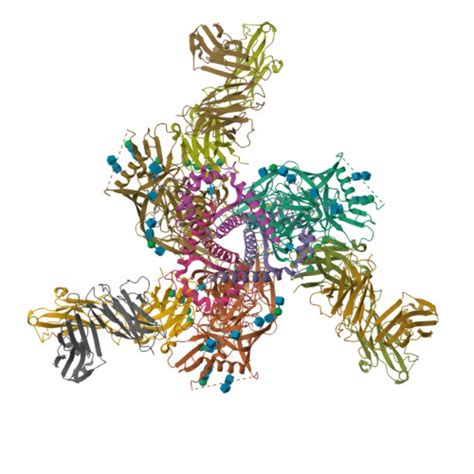 Rcsb Pdb T T Cryo Em Structure Of Ch In Complex With Hiv