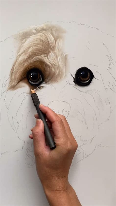 Throwback To Storm To Break Up The Mass Of Goldie Portraits Ive Been