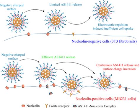 Receptor Mediated Surface Charge Inversion Platform Based On Porous Silicon Nanoparticles For