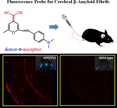 In Vivo Detection Of Cerebral Amyloid Fibrils With Smart Dicynomethylene 4h Pyran Based