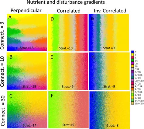 Simulated Effects Of Connectivity And Gradient Configuration Of Download Scientific Diagram