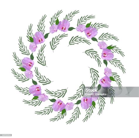 히 비 스커 스와 꽃 디자인 화 환 꽃 고 손으로 그린 화려한 벡터 일러스트 레이 션 0명에 대한 스톡 벡터 아트 및 기타