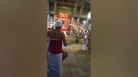 Dalada Hevisi දළදා හේවිසි Namo Buddhaya Youtube