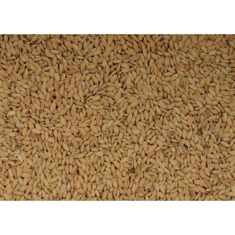 Wielink Paddy Rijst Kg Junai Nl