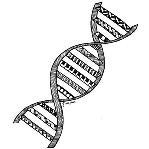 Dna Drawing Labeled Free Download On ClipArtMag