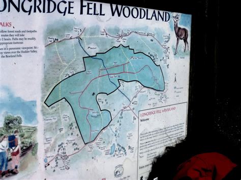 The Rainforest Fund Project Ten Secrets Of A Bryophytes And Lichens Trip To Longridge Fell On