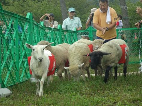 郡山石筵ふれあい牧場 福島 郡山 おすすめの人気観光・お出かけスポット Yahooトラベル