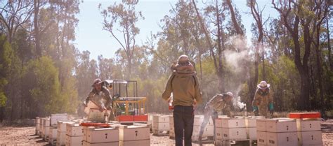 B-QUAL NEWS December 2023 - B-TRACE Australia