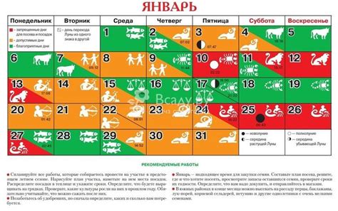 Лунный посевной календарь садовода на январь 2020 Календарь Календарь садовода Таблица фото