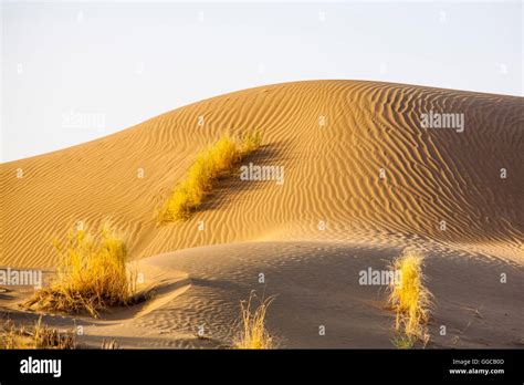 Karakum Desert