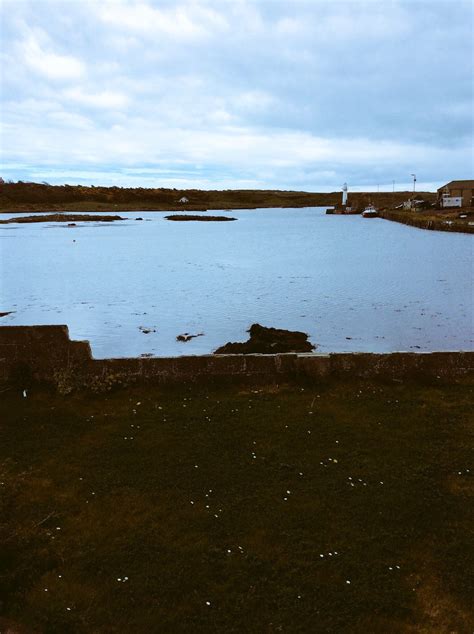 Johnny Doherty Johnnydoherty3 Twitter