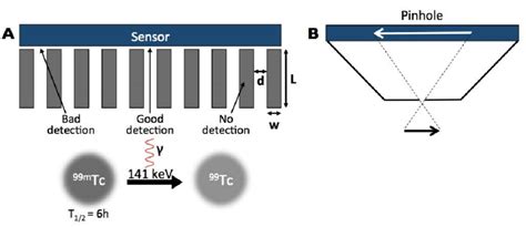 Basic Description Of A Spect Scan Detector A The Width W Length