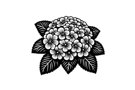 Hydrangea Flower Svg Hortensia Clipart Graphic By Artful Assetsy