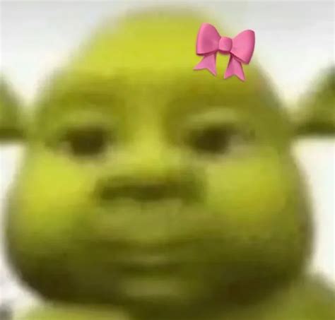 《史莱克戴粉色蝴蝶结，可爱又滑稽的模样让人忍俊不禁》 呆萌小野猪表情包表情包图片动图 求表情网斗图从此不求人