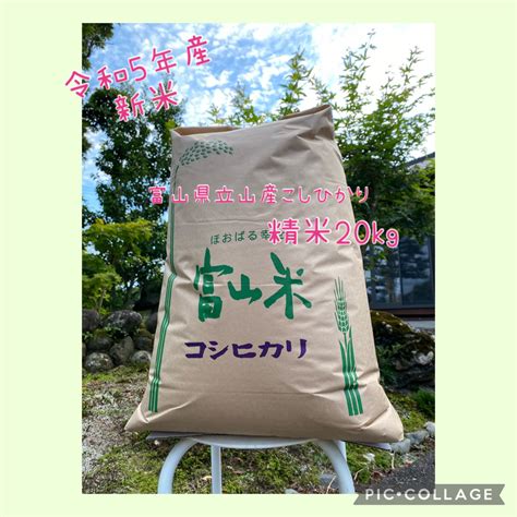 令和5年産 新米 富山県立山産こしひかり 精米20kg