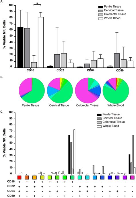 Nk Cell Fc Receptor Fcr Expression In Rbc Lysed Whole Blood And