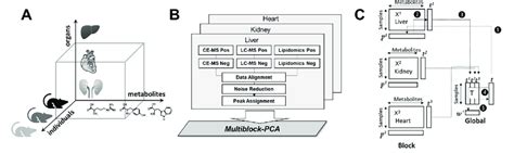 multiblock metabolomics scheme a multiblock metabolomics requires a