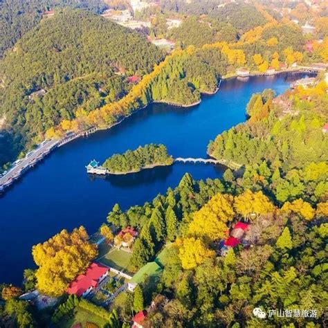 注意！庐山国庆假期实行旅游交通换乘九江视听网九江市广播电视台