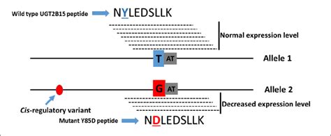 Schematic Illustration Of The Aspe Approach For The Detection Of