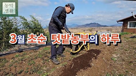 텃밭 농막 3월 초순 텃밭 농부의 하루 Youtube