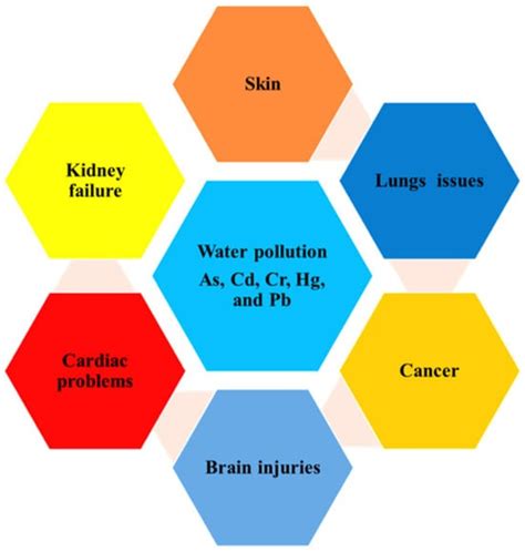 Innovative Microfluidic Technologies For Rapid Heavy Metal Ion Detection