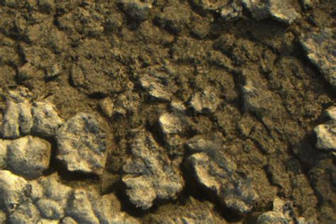 Decoding Soil Texture Unraveling The Factors That Shape Earths Feel