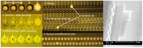 Left Au Bumps Pre And Post Bonding Middle Shear Test Right Download Scientific Diagram