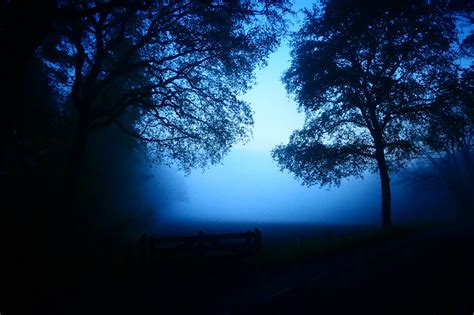 아침 안개 Pixabay의 무료 사진 Pixabay