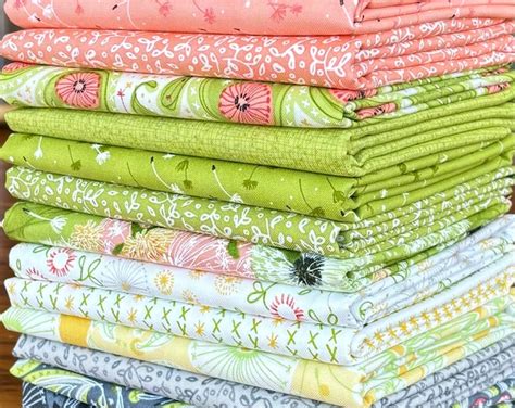 Dandi Duo Fabric Bundle By Robin Pickens From Moda Etsy