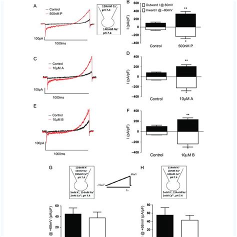 Patch Clamp Electrophysiology Compounds A And B Selectively Potentiate