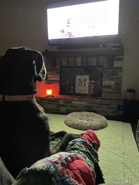 Ruby Loves The Minions Rgreatdanes Ruby Loves The Minions Rgreatdanes
