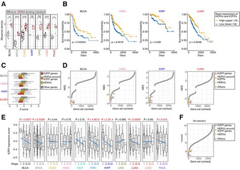 Association Of The Expression Status Of Kzfps And Hervs In Tumors 1095