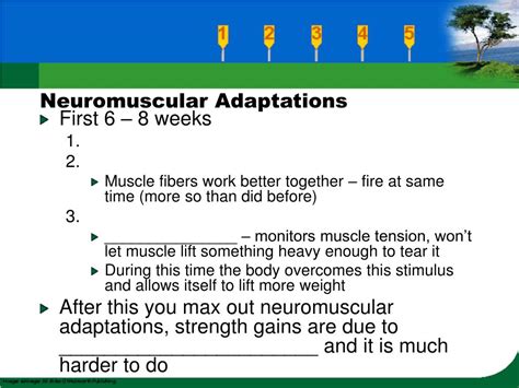 Ppt Chapter 7 Powerpoint Presentation Free Download Id304087