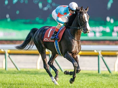 【天皇賞・秋見どころ】ダービー2着馬イクイノックスによる古馬撃破なるか 競馬ニュース Netkeiba