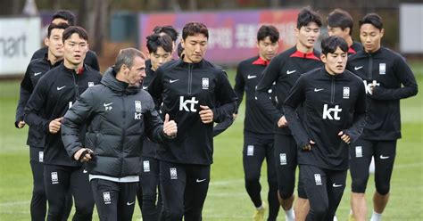 Ea스포츠 “한국 카타르 월드컵 16강 간다” 예상