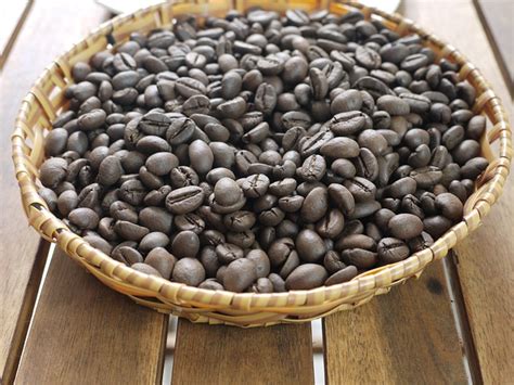 Cafe Coffee Robusta Free Photo On Pixabay Pixabay